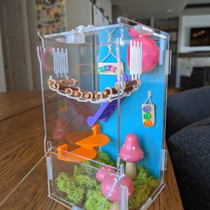 Magnetic Jumping Spider Mantis Staircase - Etsy