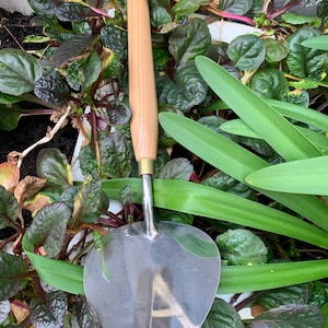 Proops Cut the Crp Poo Turd Log Stool Chopper Cutter Toilet Aid Un ...