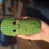 PATTERN ONLY, Easy Pickle Crochet Pattern, Instant DOWNLOAD - Etsy