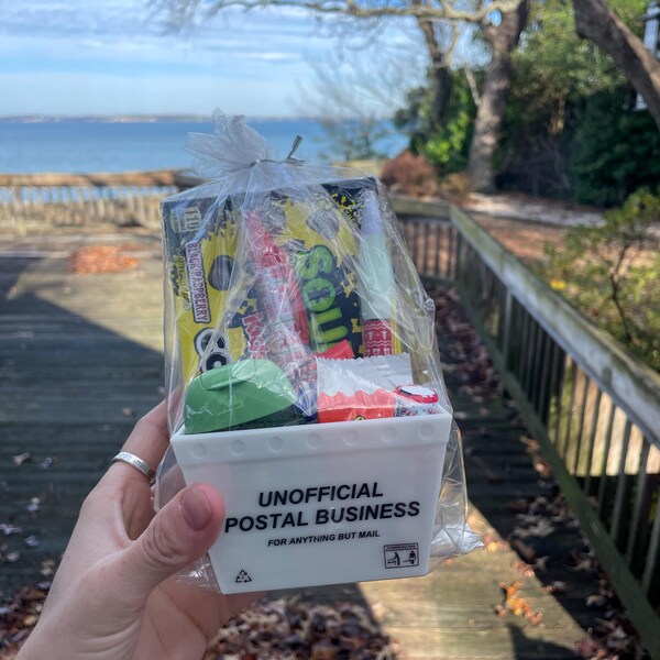 Mini Mail Tub Tote for Small Items - Etsy