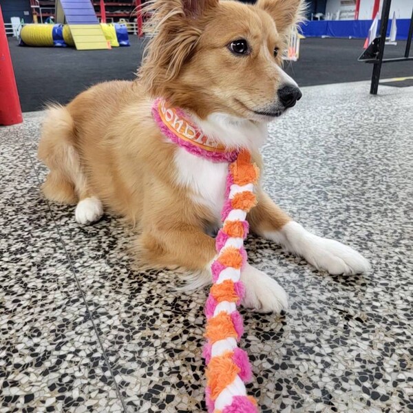 Custom Ribbon Display, Dog Award Ribbon Display Rack, Dog Rosette ...