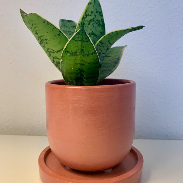 Large Tray Saucer | Minimalist Planter Pot Drip Tray Water Catcher ...