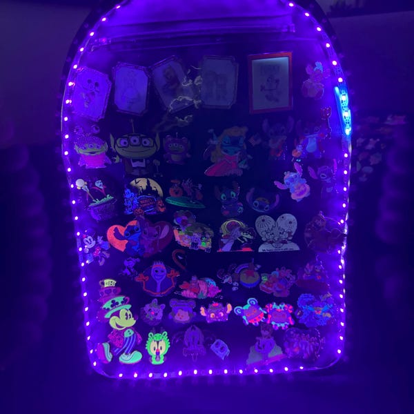 The Showcase 3.0 - Ita Bag, Pin Display Bag, Clear Pocket Display ...