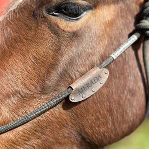 Stall Name Plate Slider Set Aluminum Plates - Etsy