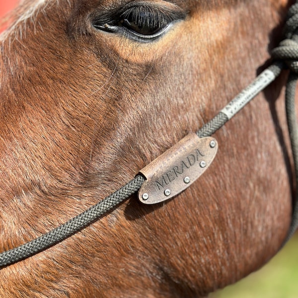 1" Round ID Tag | Great for Horse Blankets - Bridles - Dog or Pet Tags ...