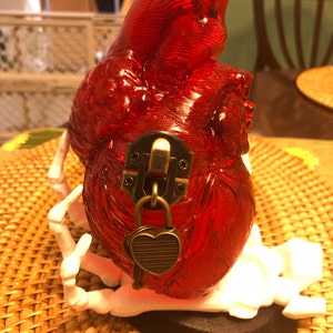 Realistic Heart-shaped Box 2 Styles Anatomical Heart - Etsy