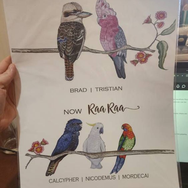 Australian Native Bird Print Kookaburra Black Cockatoo Rainbow Lorikeet ...