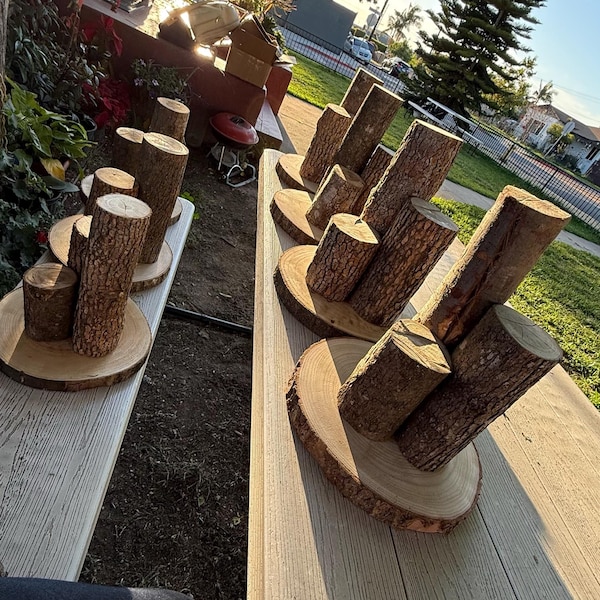 3" - 4" Red Oak Wood Stumps, Organic Rustic Log Stumps, Rustic Wedding ...