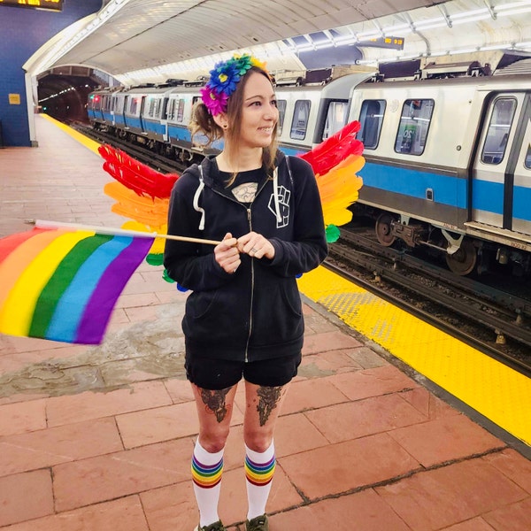 Rainbow PRIDE Feather Wings - Carnival Costume Festival Wings, LGBTQ ...