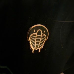 Trilobite Enamel Pin - Etsy