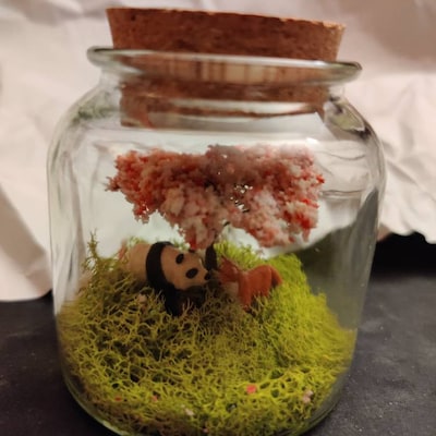 Miniature Ladybug Terrarium by Sbmathieu - Etsy