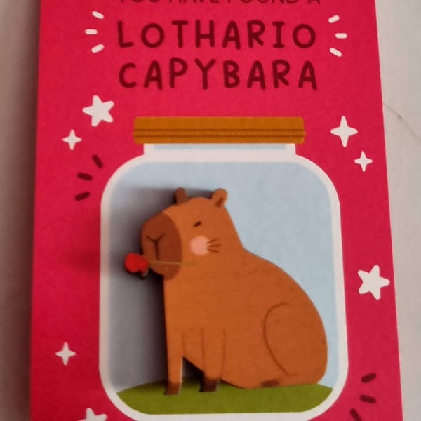 Capybara Spa Magnets - Cute Capybaras Card Gift - Fridge Refrigerator Magnet - Capybara Lover ...