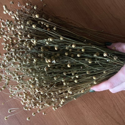 Organic Flax Spray - Etsy