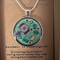 Plant Cell Key Chain Key Ring Cell Biology Biology Gift - Etsy Canada