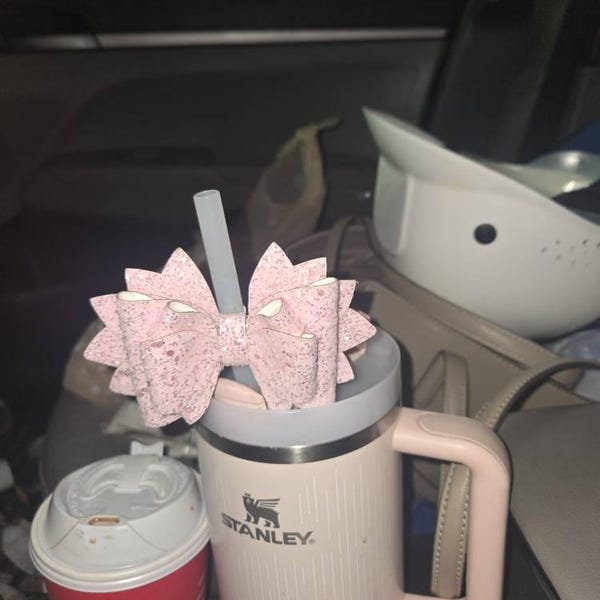 Stanley Tumbler Bow Pink Peony Camelia Gradient Fuchsia Flamingo ...