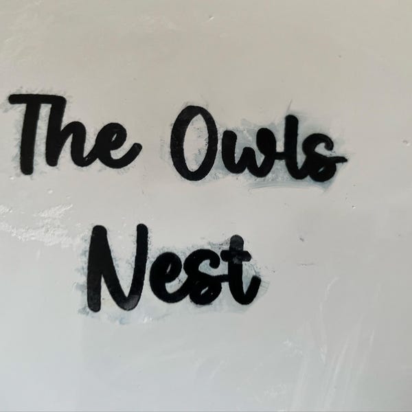 Custom Logo Enamel Plates - 5 Rim Colours of Choice | Wholesale ...