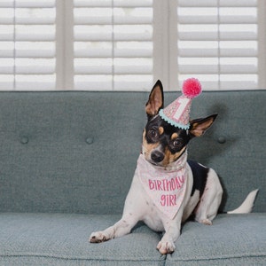 Cat Birthday Hat Pet Party Hat Puppy Birthday First - Etsy