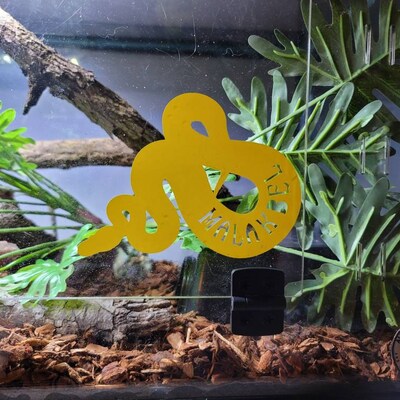 Customizable Name Ball Python Snake Vinyl Decal READ - Etsy