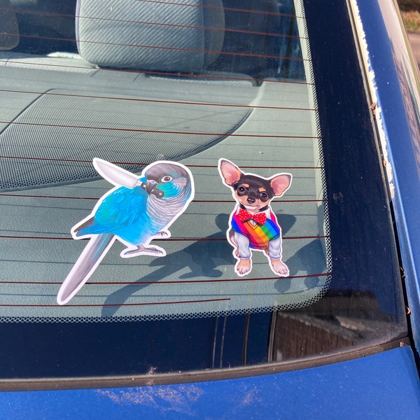 Conure Stickers / Cute Conures / GCC Green Cheek / Green Cheek Conure ...