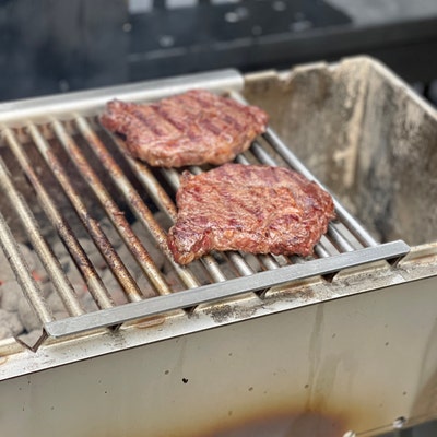 Large Stainless Steel Grill Mesh for BBQ Grill / MANGAL for 10 Skewers ...