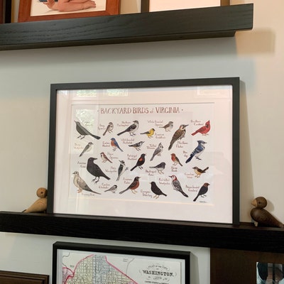 Virginia Backyard Birds Field Guide Art Print / Watercolor Painting ...