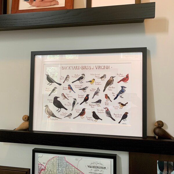 Virginia Backyard Birds Field Guide Art Print / Watercolor Painting ...