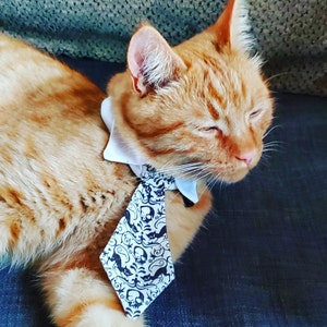 Black Satin Cat Bow tie Wedding Cat Bow tie | Etsy