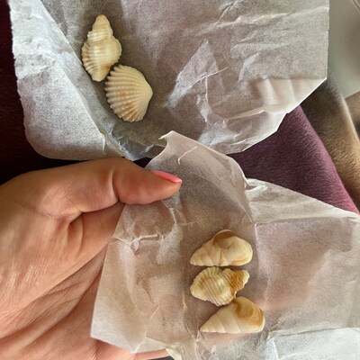 Sea Shell Fondant Topper 50pcs Beach Cake Topper Beach Cupcake Toppers ...