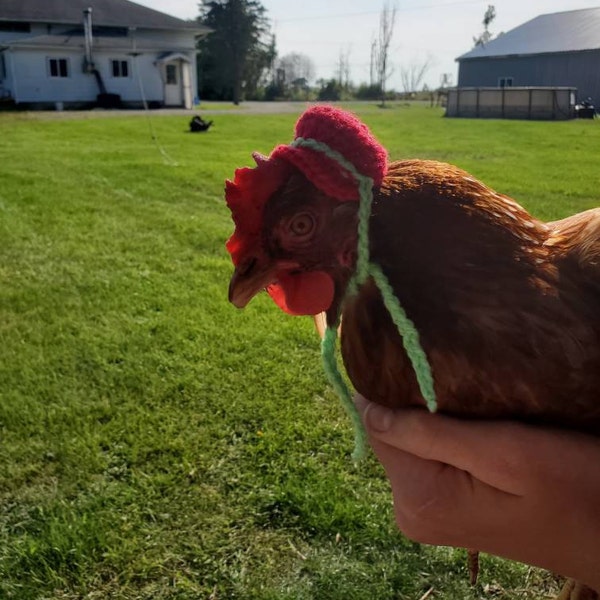 Crochet Pattern / Chicken Bonnet / Spring Chicken / Chicken Hat ...