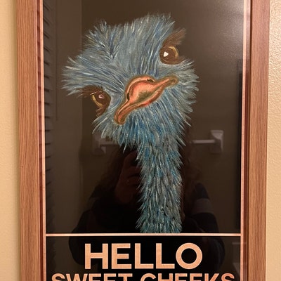 Why Hello Sweet Cheeks Have A Seat Vintage Poster, Funny Frog Bathroom ...