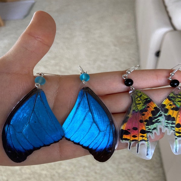 Blue Butterfly Earrings, Iridescent Butterfly Earrings, Real Blue ...