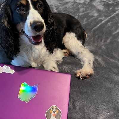 Spaniel Sticker English Cocker, Field, Springer, Chibi Puppy Dog, Vinyl ...