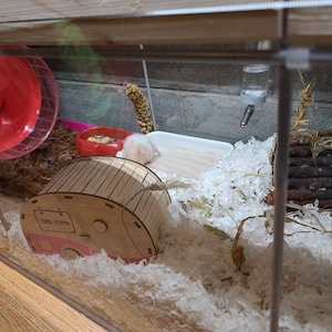 Custom Hamster Hideout/ Hamster RV Party/ Cage Accessory/ Memorable ...