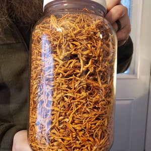 Yarrow Flower Powder 4oz to 5lb 100% Pure Natural Hand - Etsy