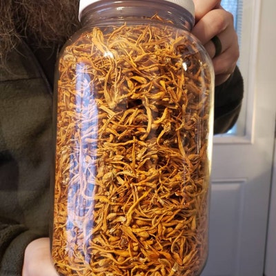 Ginseng Siberian Eleuthero Root Powder 4oz to 5lb 100% - Etsy