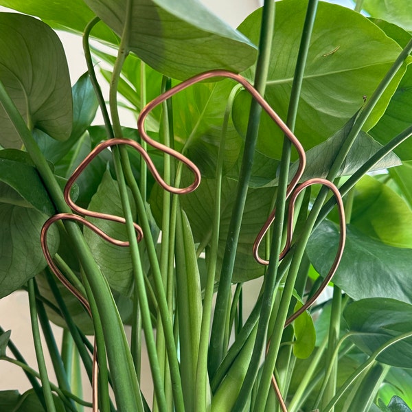 Plant Propagation Side Car Plant Buddy Test Tube Prop Station - Etsy