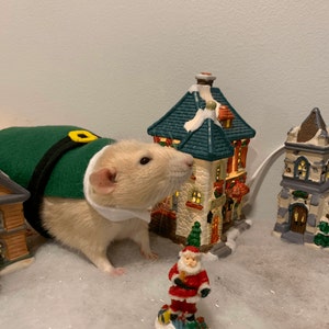 Jack O' Lantern Cape Costume for Pet Rats Orange Cape | Etsy