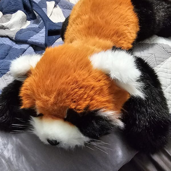 Mini Cat Backpacks-handmade Realistic Stuffed Cat Companion Gift for ...