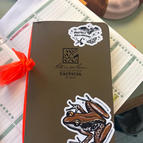 Support Local Biodiversity Environmental Preservation Original Art ...