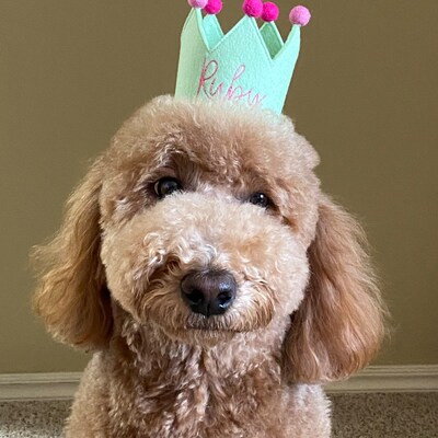 I Do Too Bandana Ruffle Dog Bandana for Dog Engagement Bandana ...