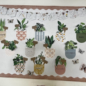 PLANTS & FOLIAGE Complete Classroom Display Bundle, Customizable ...