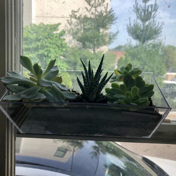 Suction Cup Window Planter - Long Triangular Window Box Style - 8" Long ...