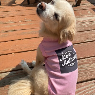 Custom Vet Tech Fanny Pack Vet Tech Tool Belt Vet Tech - Etsy