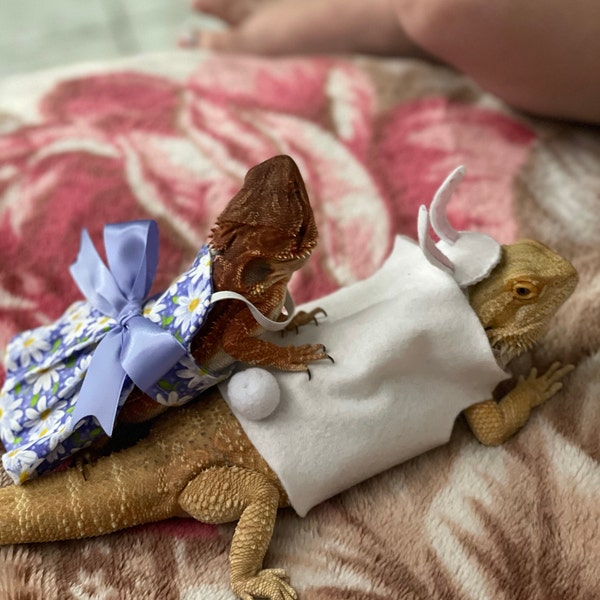 Christmas Fancy Dress, Santa, Bearded Dragon Clothes - Etsy