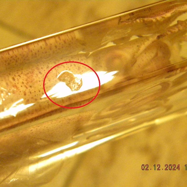 MC2913 Old Tantrik, Tibetan Copper Prong Dorji, Nepal Copper Vajra ...