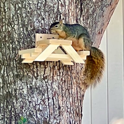Handmade Squirrel Picnic Table Green Picnic Table for Squirrel Fence ...