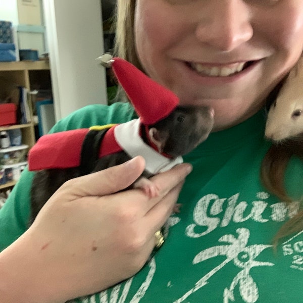 Elf Costume, Pet Costume for Rats, Santa Helper Rat - Available in Red ...
