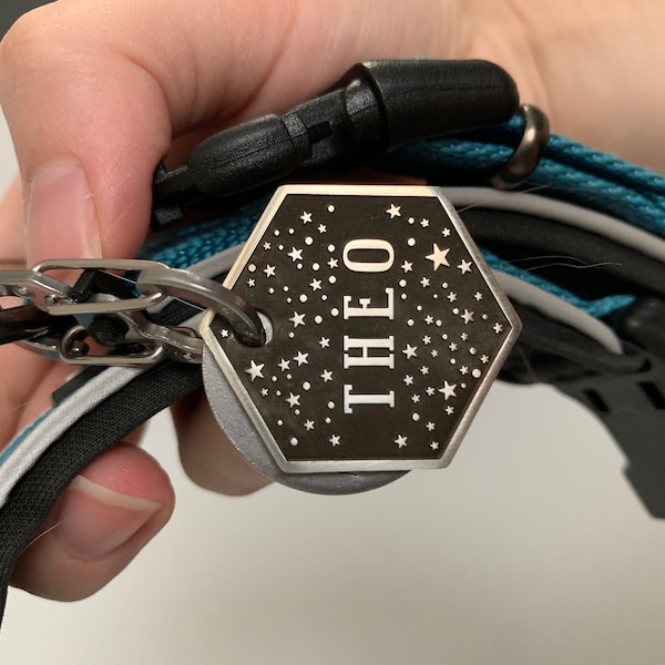 Luna Dog Tag, Pet ID Tag, Personalized Dog Tag, Microchip Pet Tag ...