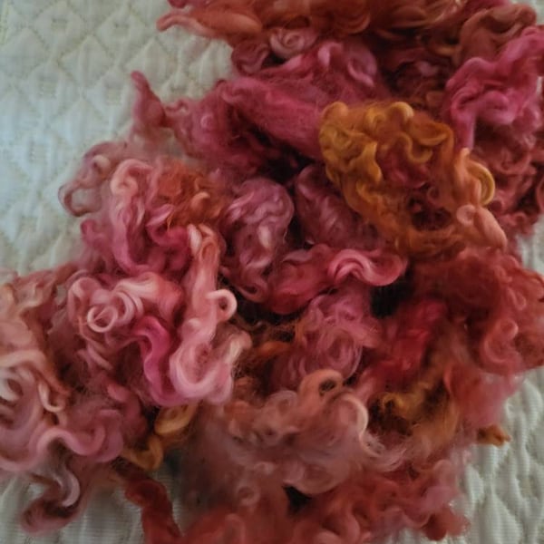 Curly Nearly Black Brown Lock Wool | Natural Color | Felting Wool ...