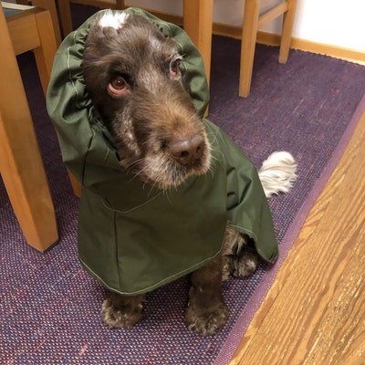 Waterproof Thick Dog Snood , Swimming Cap for Dog , Dog Hat for Snow - Etsy